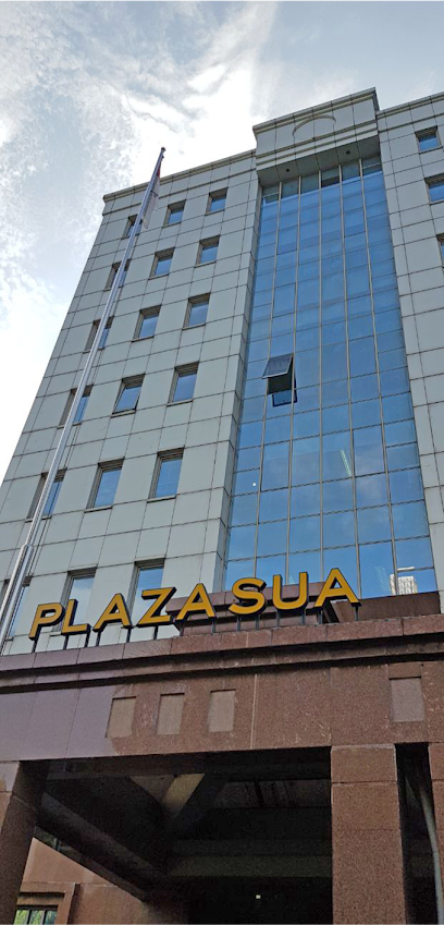 Plaza SUA – Newman Pearsons